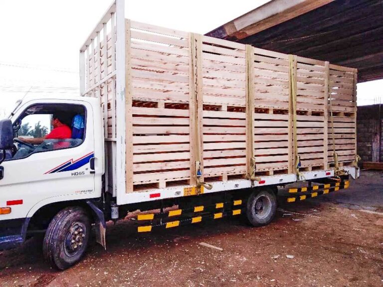 Inicio - ECOPALLETS PERÚ EIRL
